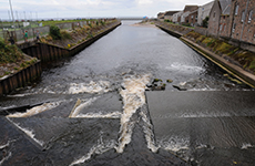 The River Cowie