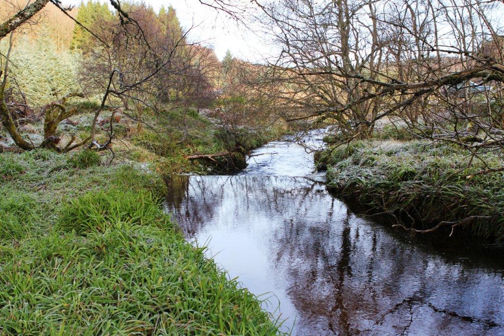 The River Cowie