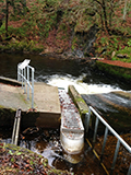 The River Cowie